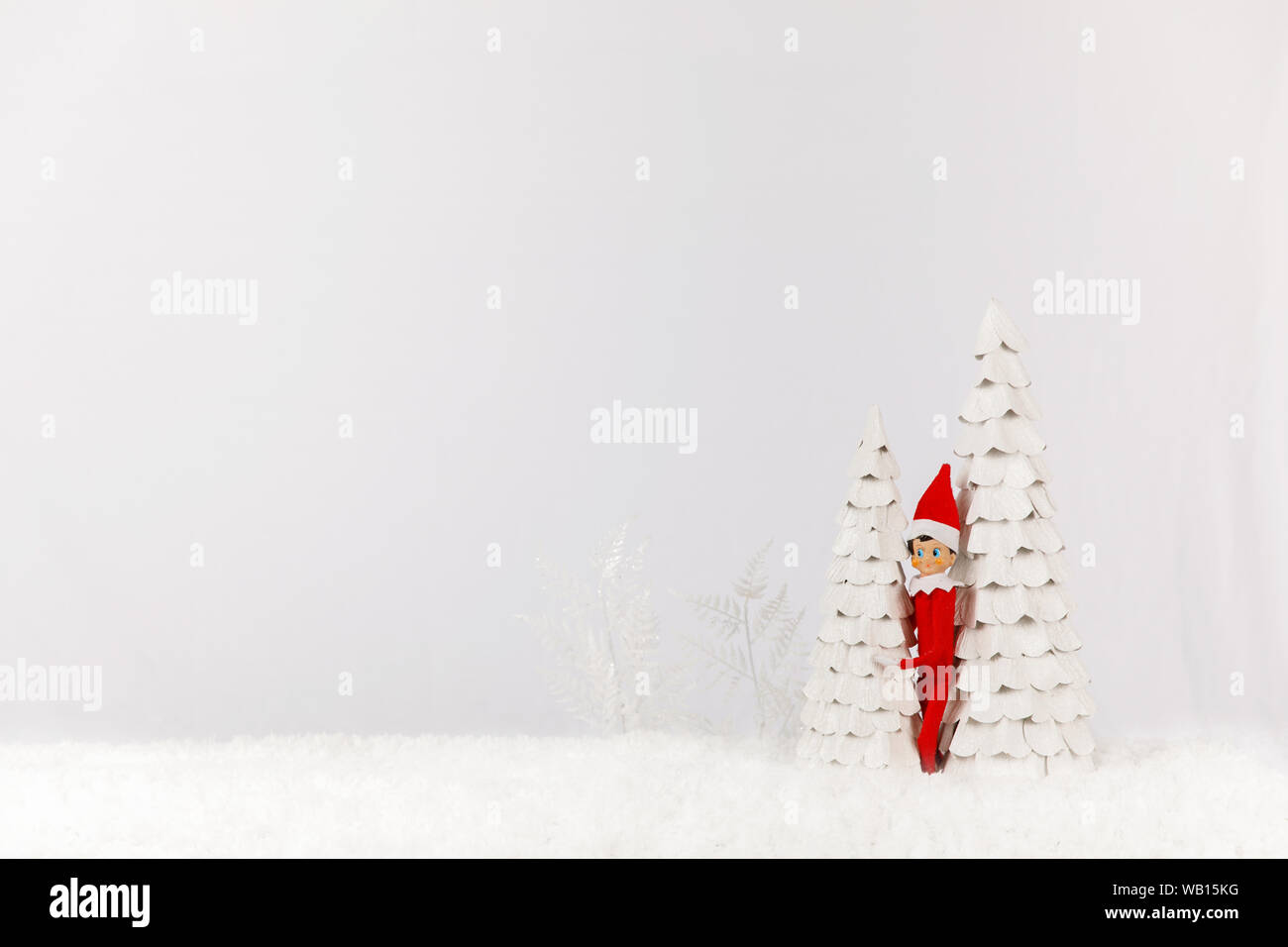 Canes shelf hi-res stock photography and images - Alamy