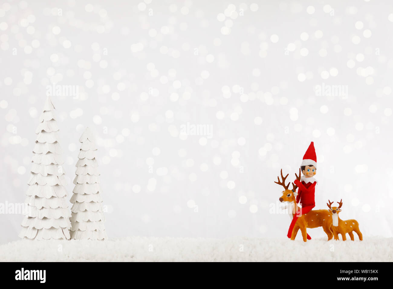 Canes shelf hi-res stock photography and images - Alamy