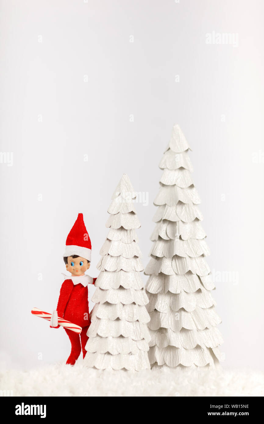 Canes shelf hi-res stock photography and images - Alamy