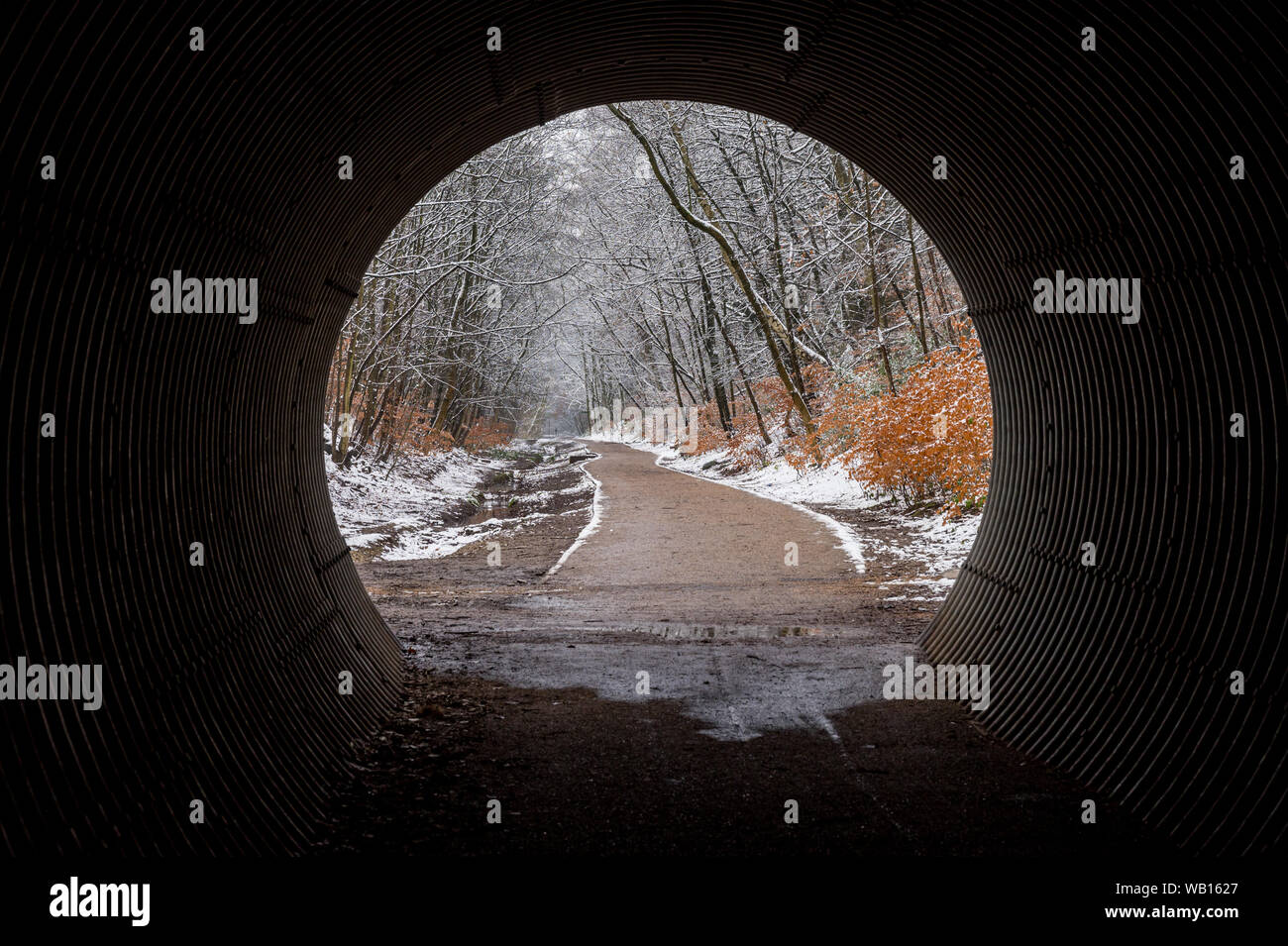Tyldesley loopline walkway hi-res stock photography and images - Alamy