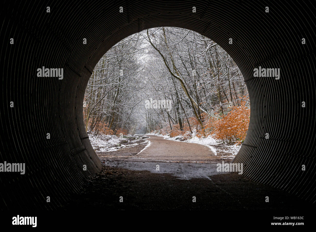 Tyldesley loopline walkway hi-res stock photography and images - Alamy