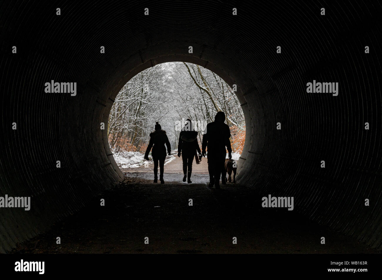 Worsley walk hi-res stock photography and images - Alamy