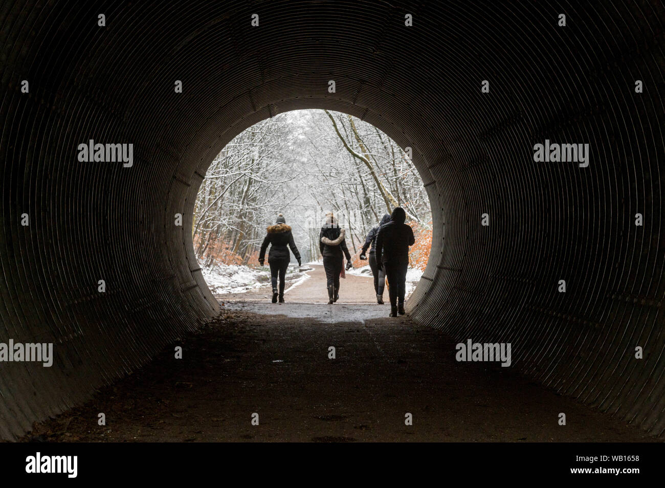 Tyldesley loopline walkway hi-res stock photography and images - Alamy