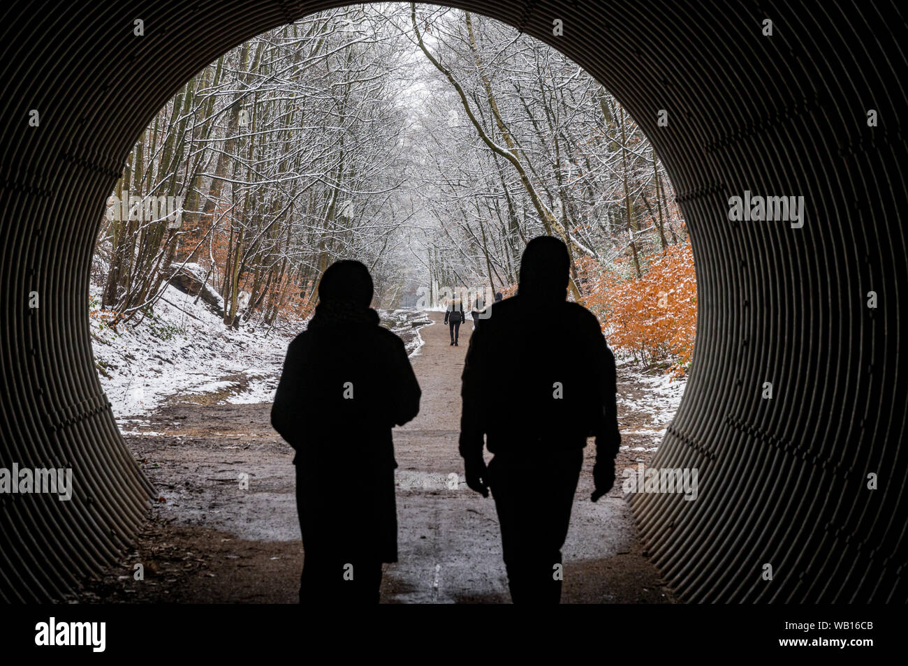 Tyldesley Loopline Walkway, Worsley, Salford, Manchester Stock Photo ...