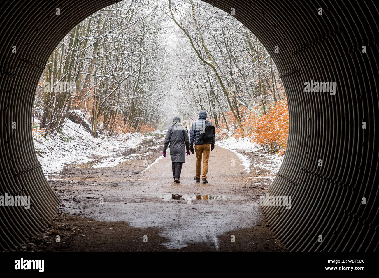 Tyldesley Loopline Walkway, Worsley, Salford, Manchester Stock Photo ...