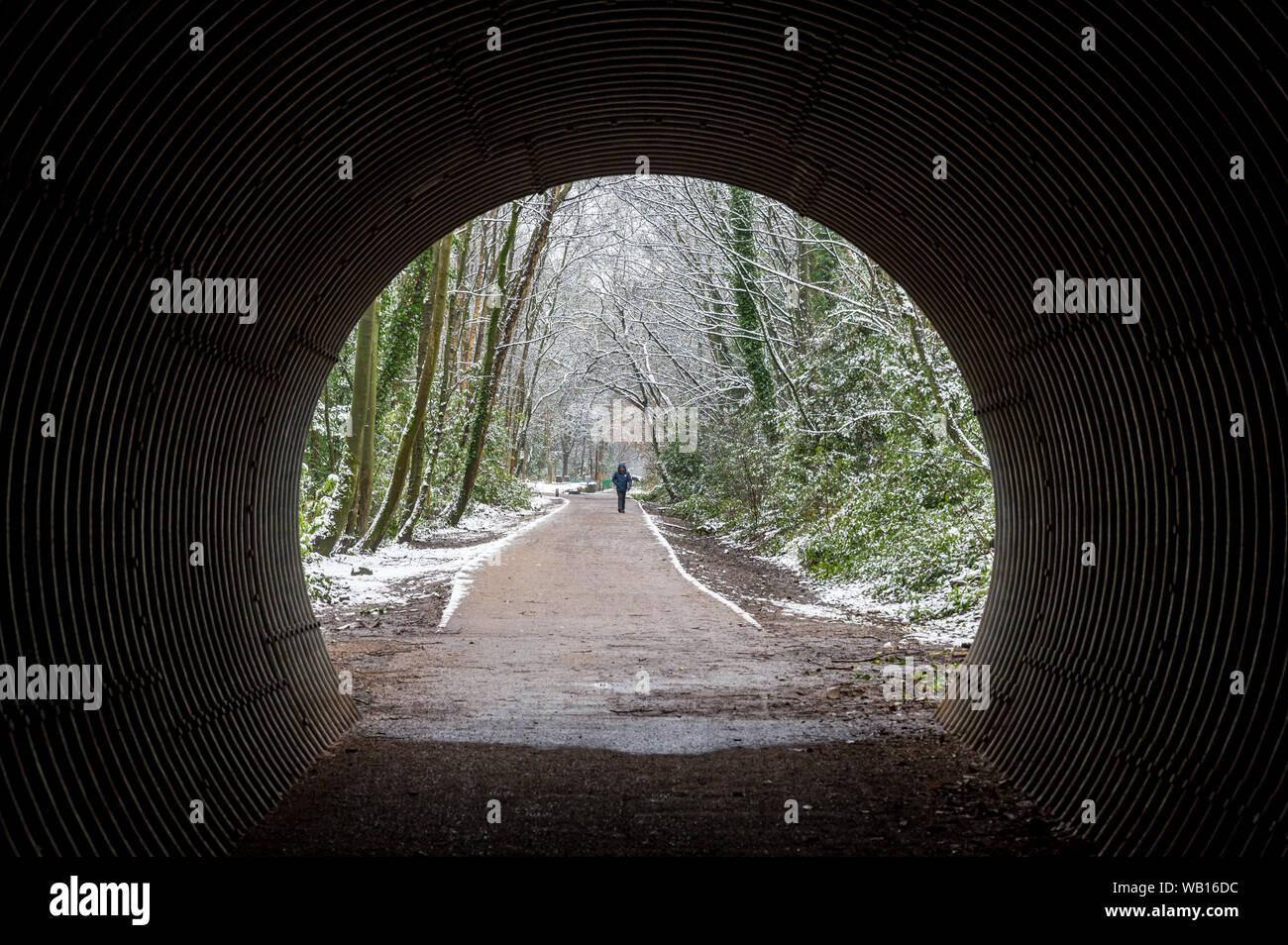 Tyldesley loopline walkway hi-res stock photography and images - Alamy
