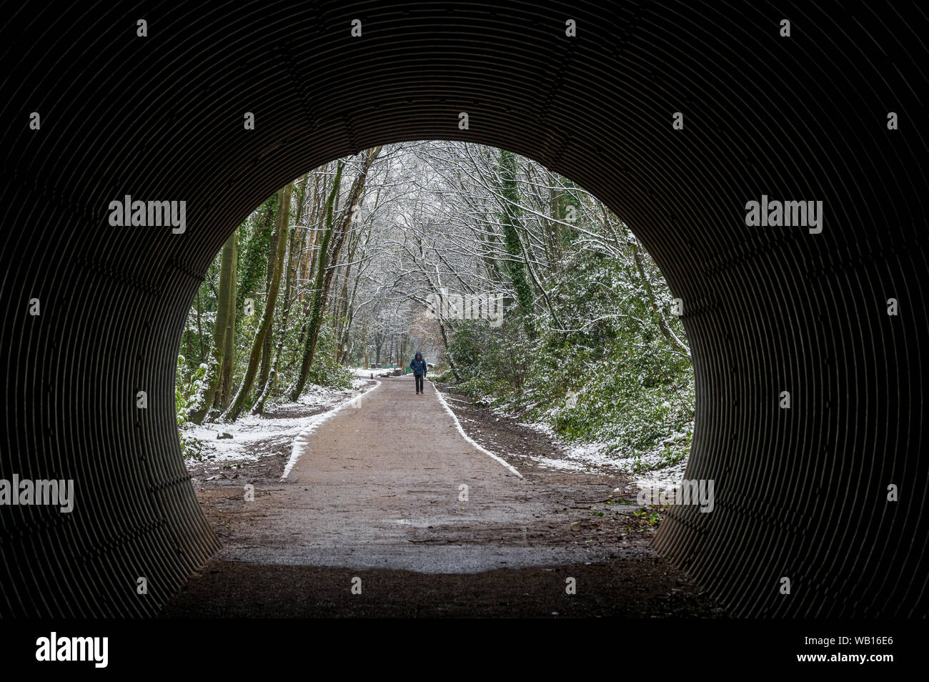 Tyldesley loopline walkway hi-res stock photography and images - Alamy