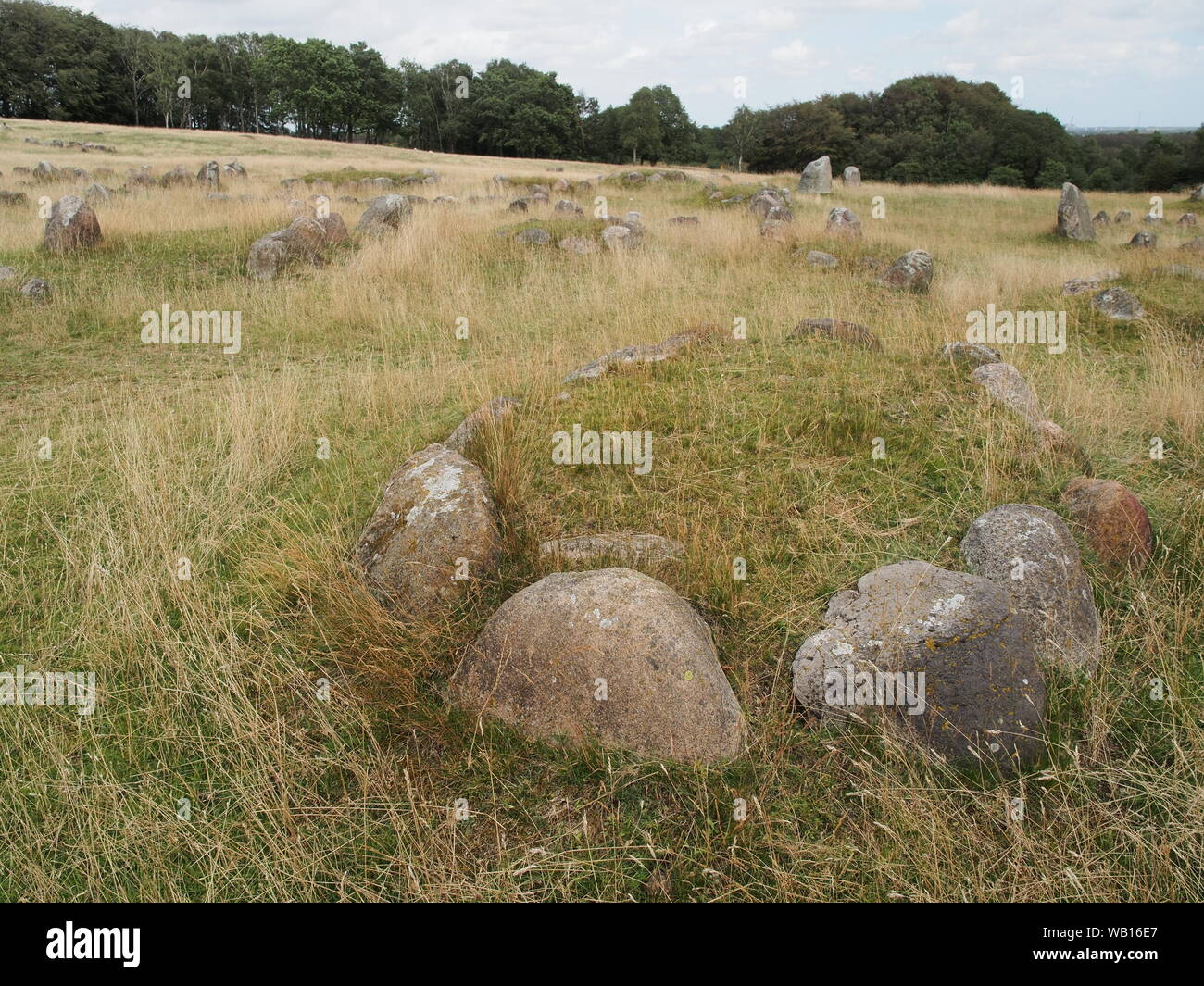 Viking burial site at Lindholm Hoje, Aalborg, Denmark Stock Photo - Alamy
