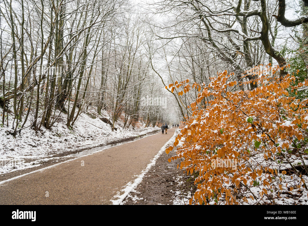 Worsley walk hi-res stock photography and images - Alamy