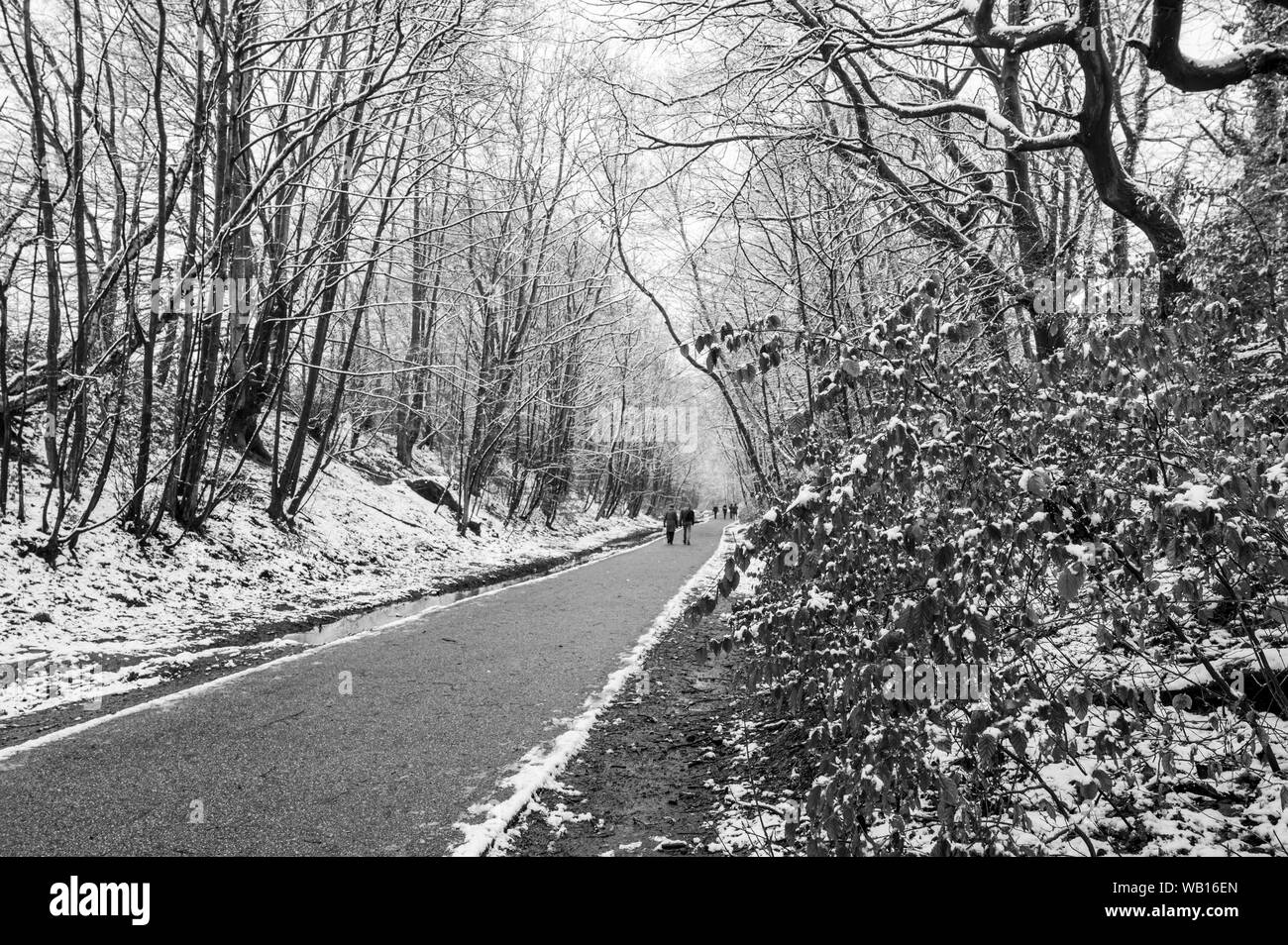 Tyldesley loopline walkway hi-res stock photography and images - Alamy