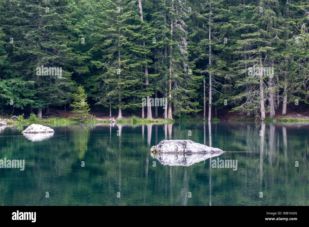 Lac vert france hi-res stock photography and images - Alamy