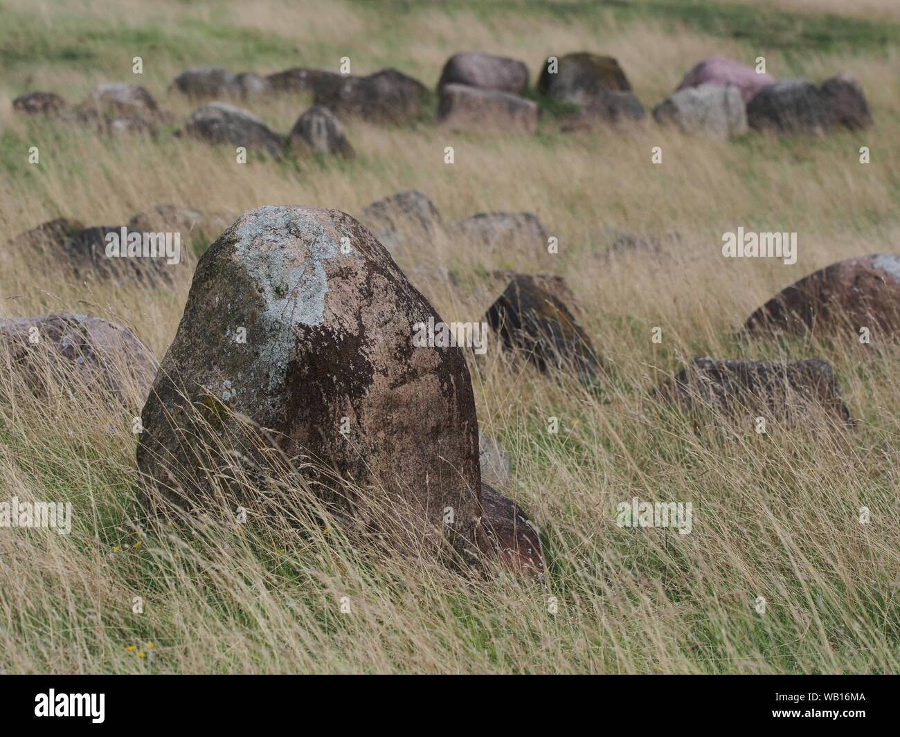 Viking burial site at Lindholm Hoje, Aalborg, Denmark Stock Photo - Alamy