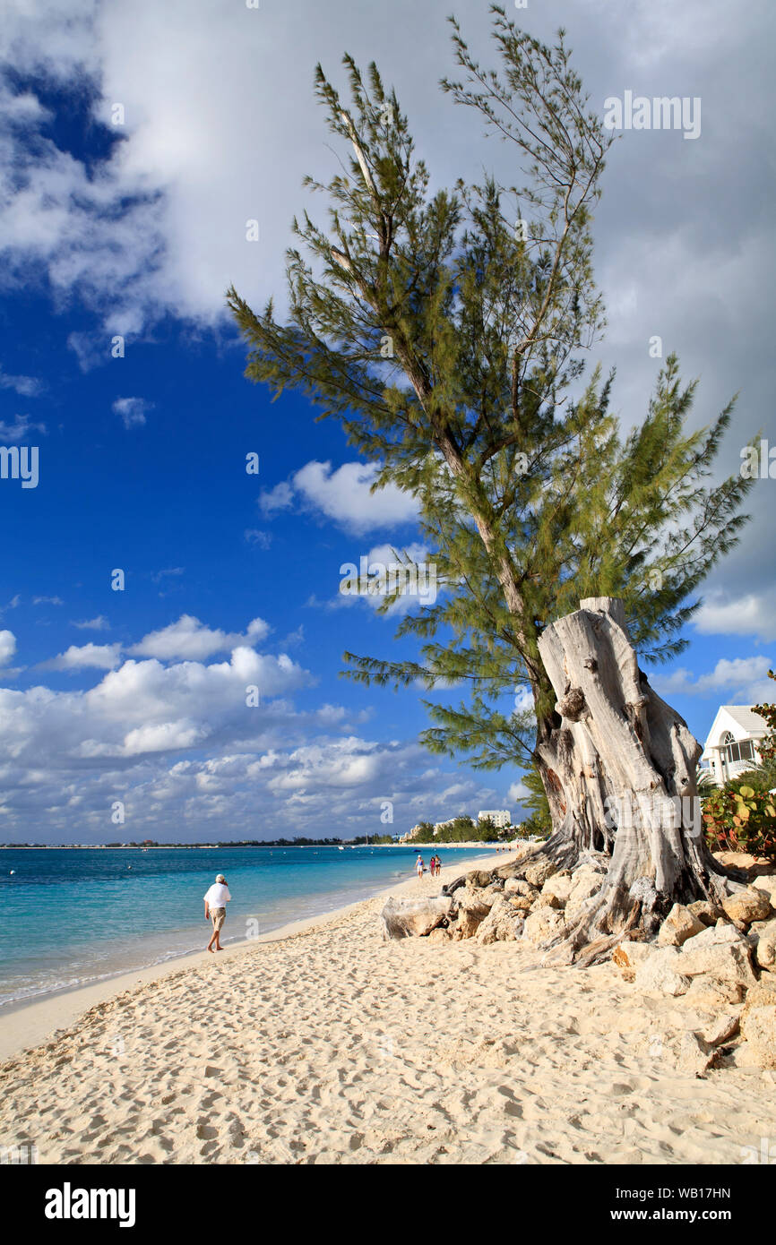 Cayman islands beach hi-res stock photography and images - Alamy