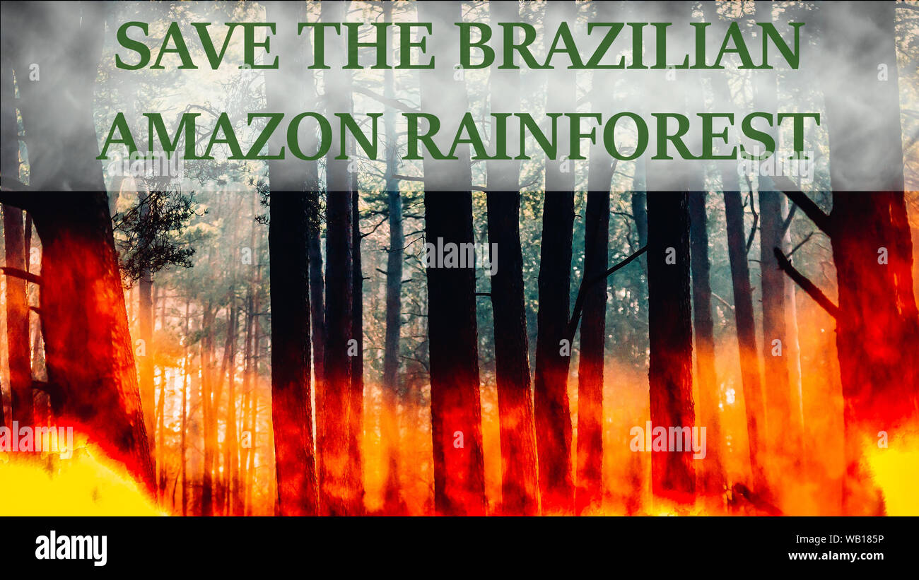 Amazon rainforest fire hi-res stock photography and images - Alamy