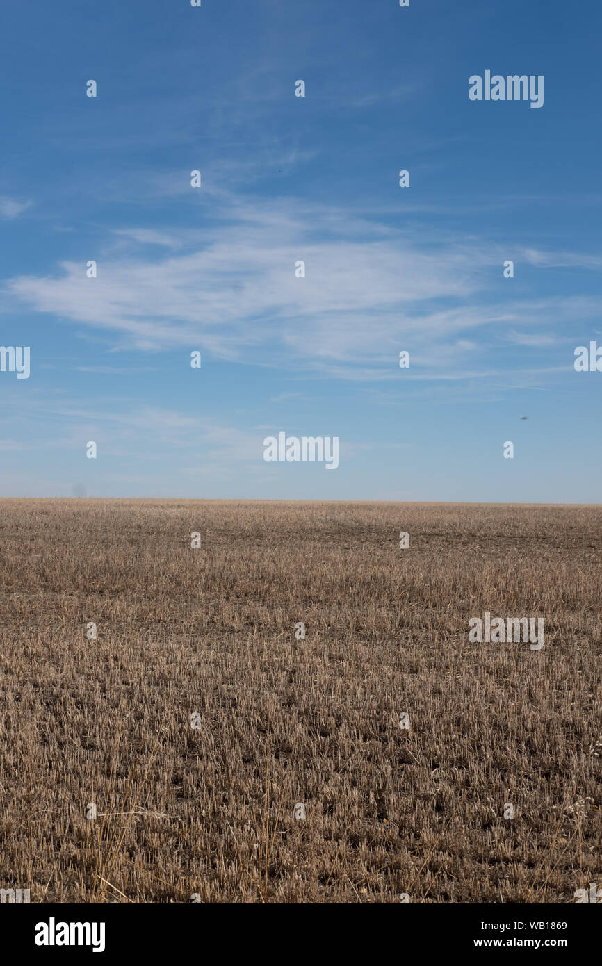 Big sky alberta hi-res stock photography and images - Alamy