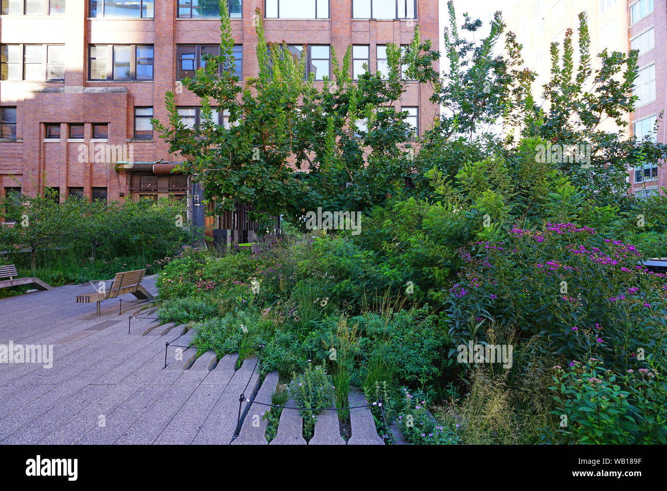 NEW YORK CITY, NY -11 AUG 2019- View of the High Line, an elevated ...