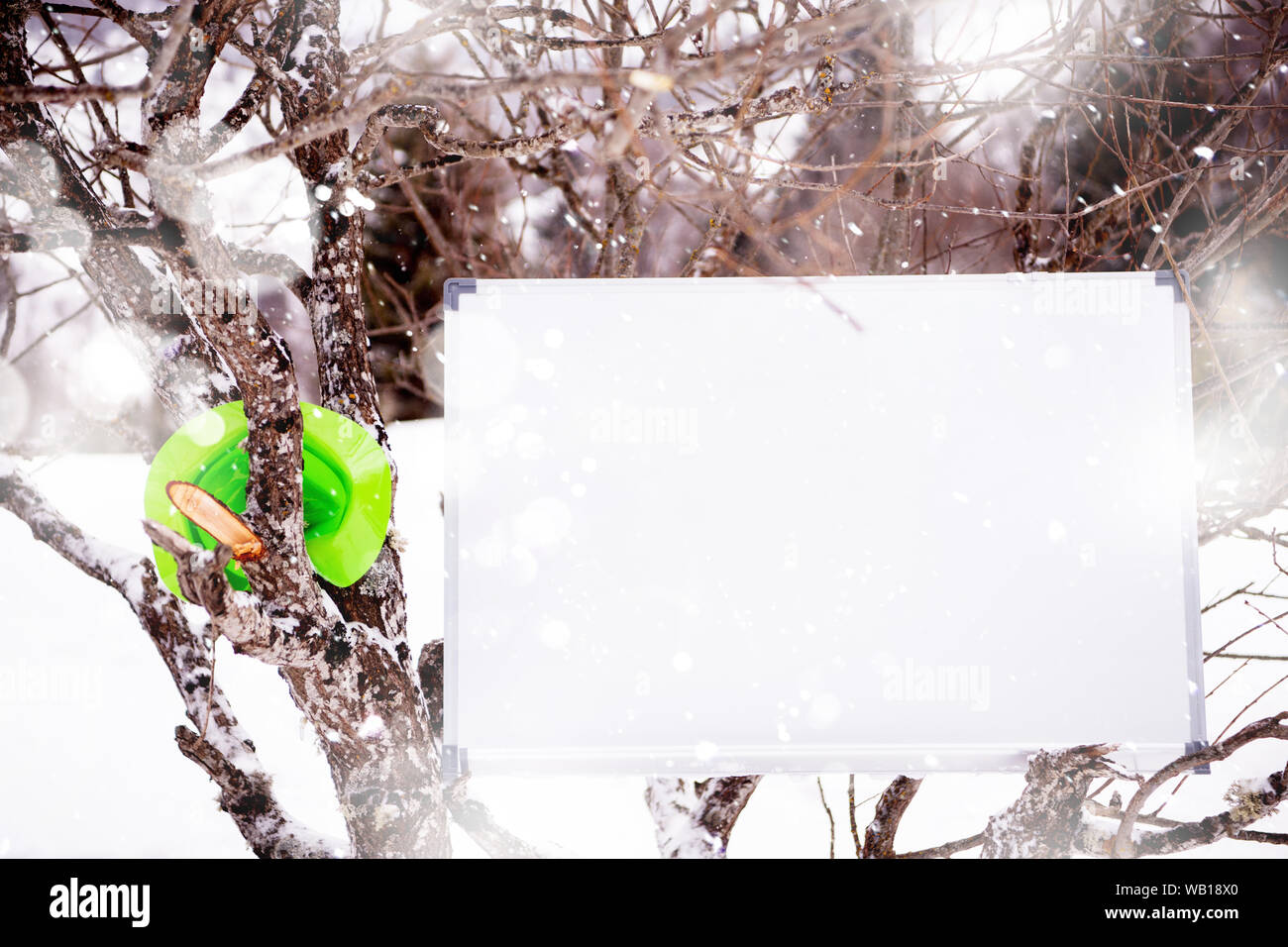 copy space whiteboard on tree with snowflakes around during snowy ...