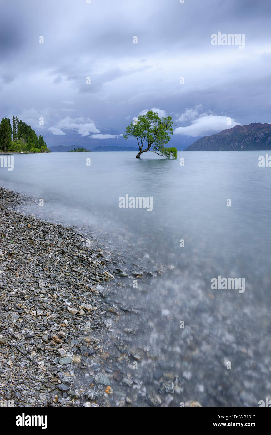Island tree hi-res stock photography and images - Alamy