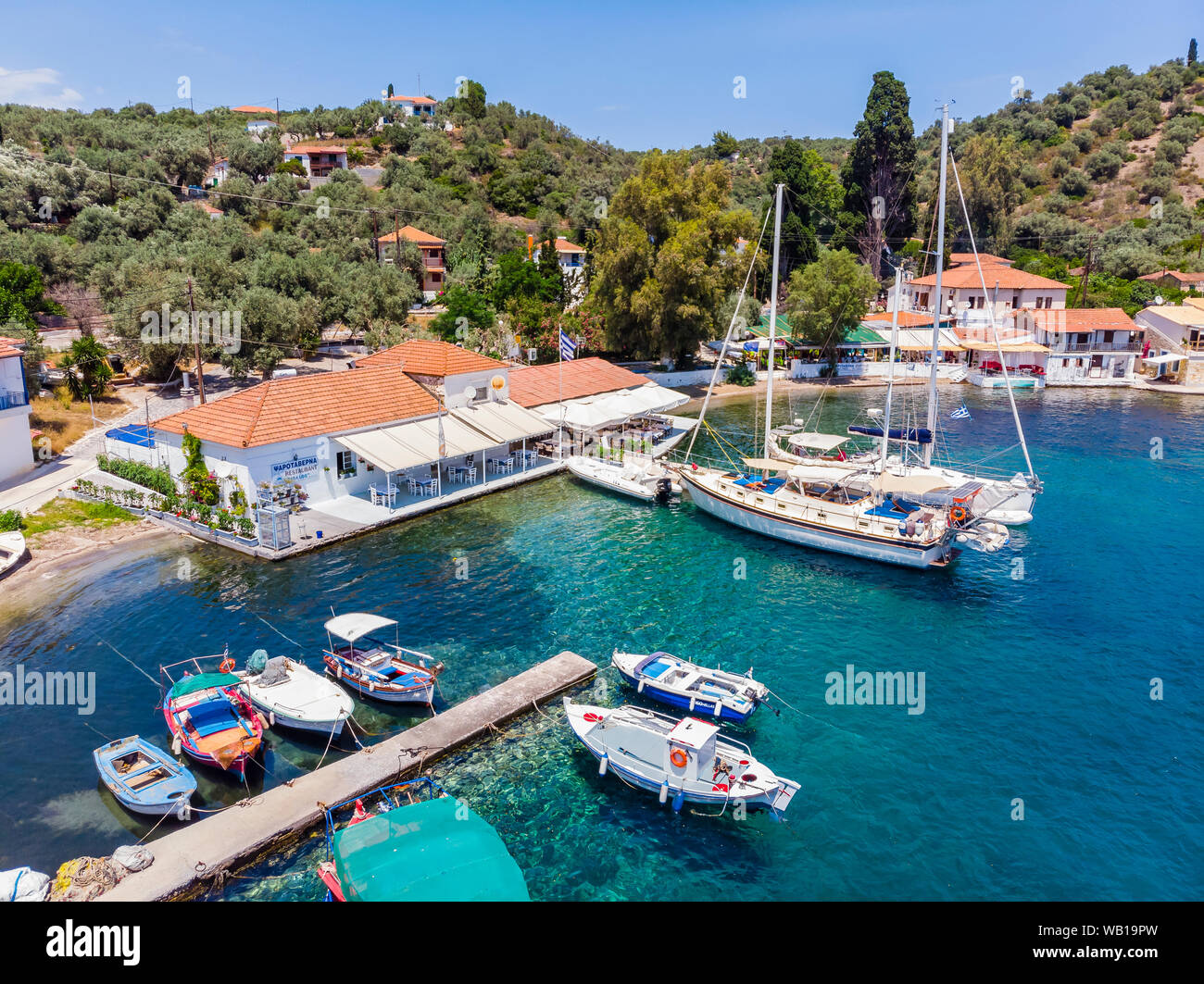 Paleo trikeri hi-res stock photography and images - Alamy