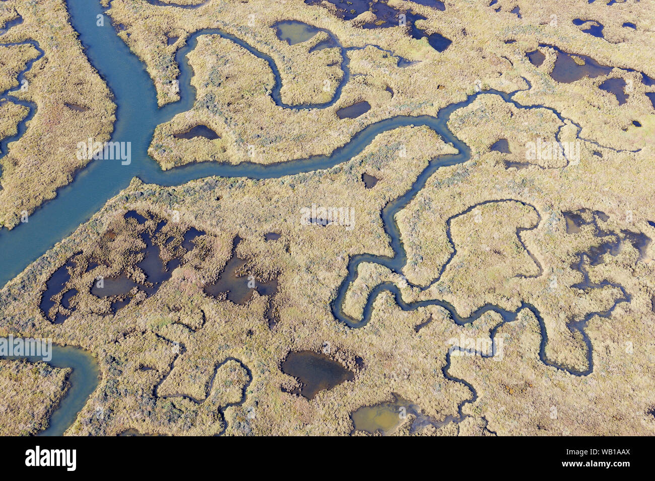 Image into the odiel river hi-res stock photography and images - Alamy