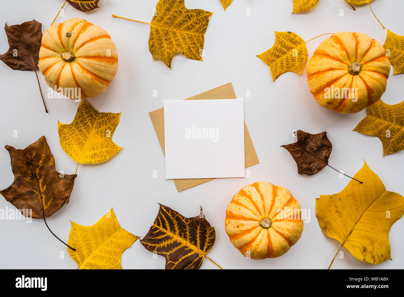 Thanksgiving holiday objects for mock up template design. Autumn ...