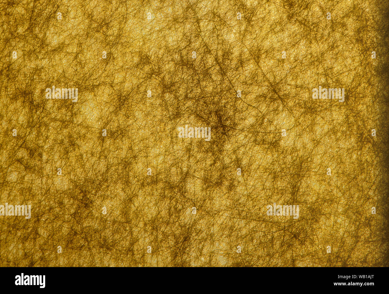 Gold wall texture hi-res stock photography and images - Alamy