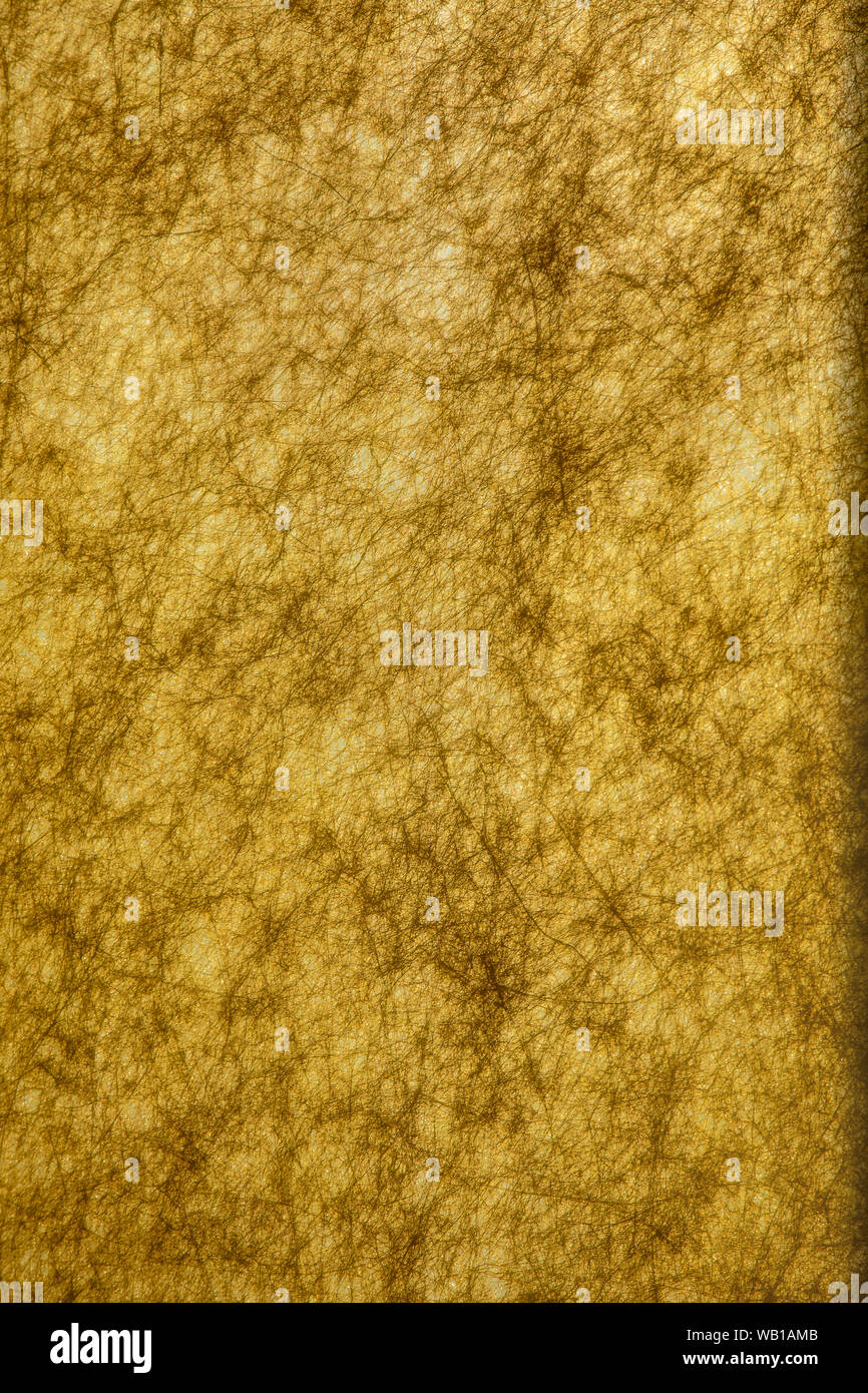 Gold Wall Background High Resolution Stock Photography and Images - Alamy