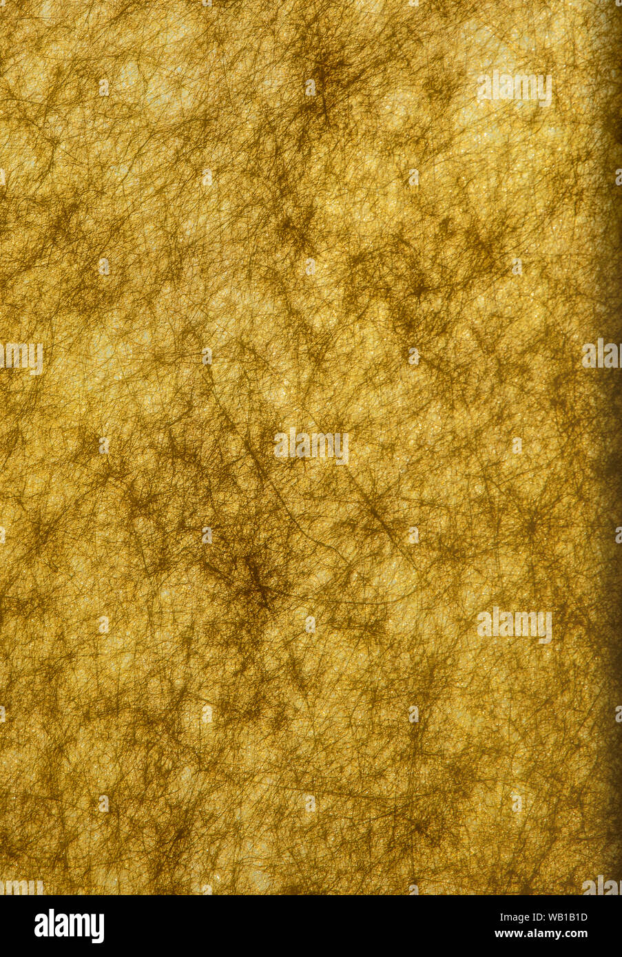 Gold wall texture hi-res stock photography and images - Alamy