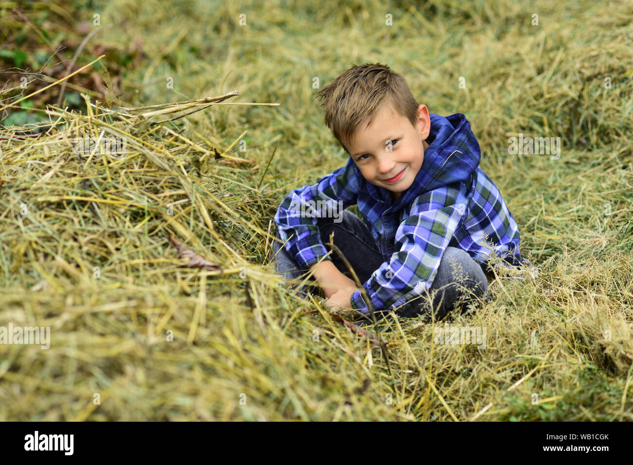 Im a farm boy. Little boy in barn on farm. Little boy enjoy village ...