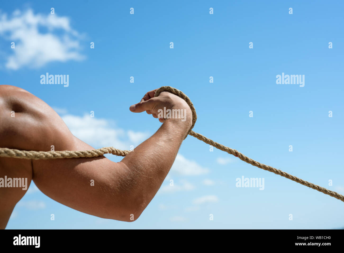 Gaining muscle. Sport training. Strong arm and shoulders tugging rope ...