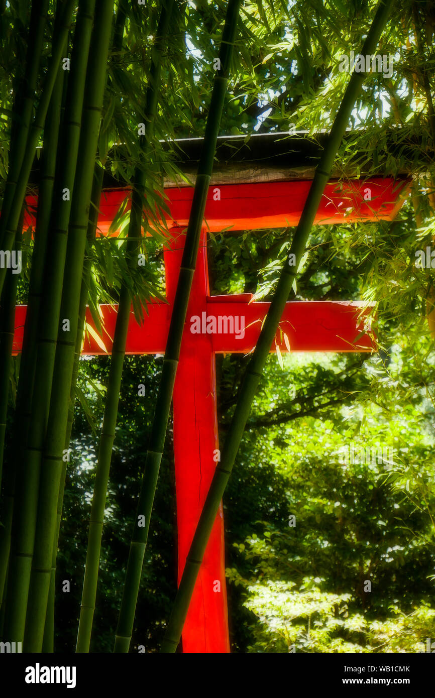 Red Torii and bamboo forest, La Bambouseraie - Bamboo park, Prafrance ...
