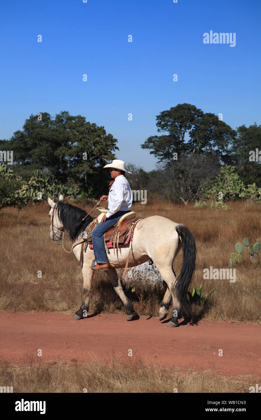 Wranglers at a Mexican ranch Stock Photo - Alamy