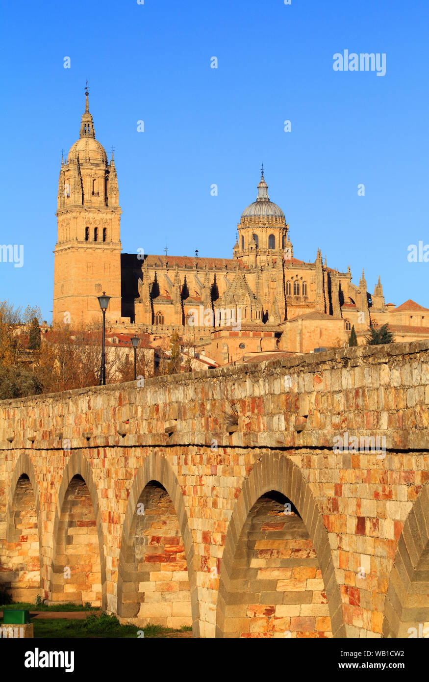 Salamanca, Spain. The historic university city, Cathedral and Roman ...