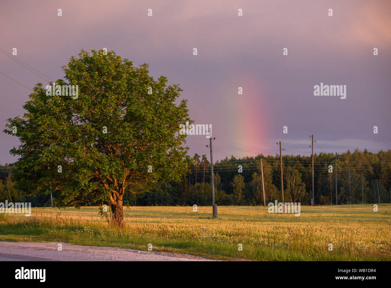 Vertical rainbow hi-res stock photography and images - Alamy