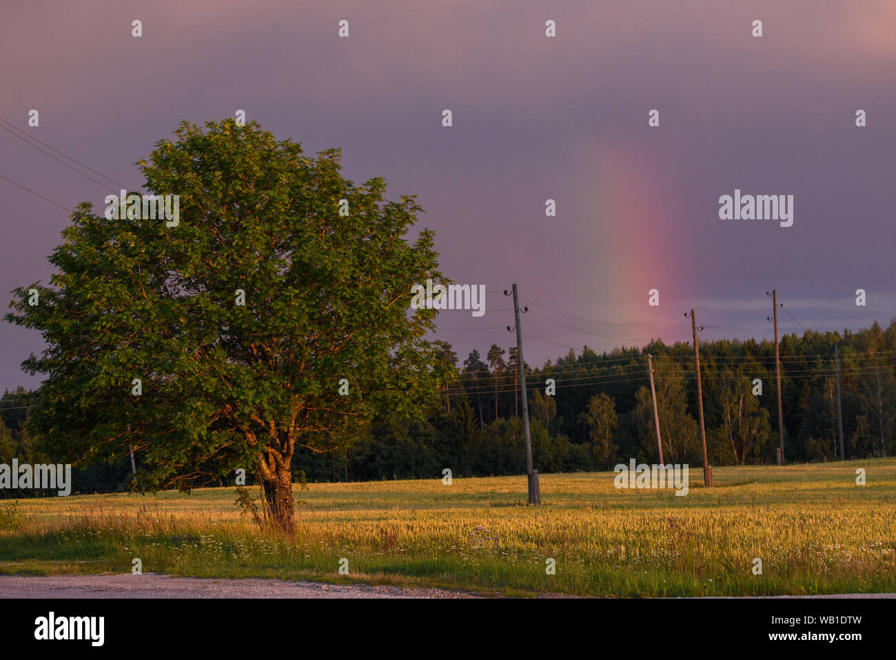 Vertical rainbow hi-res stock photography and images - Alamy