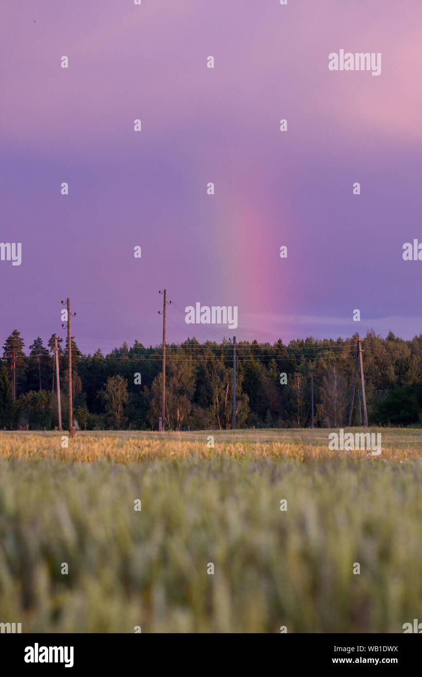 Vertical rainbow hi-res stock photography and images - Alamy