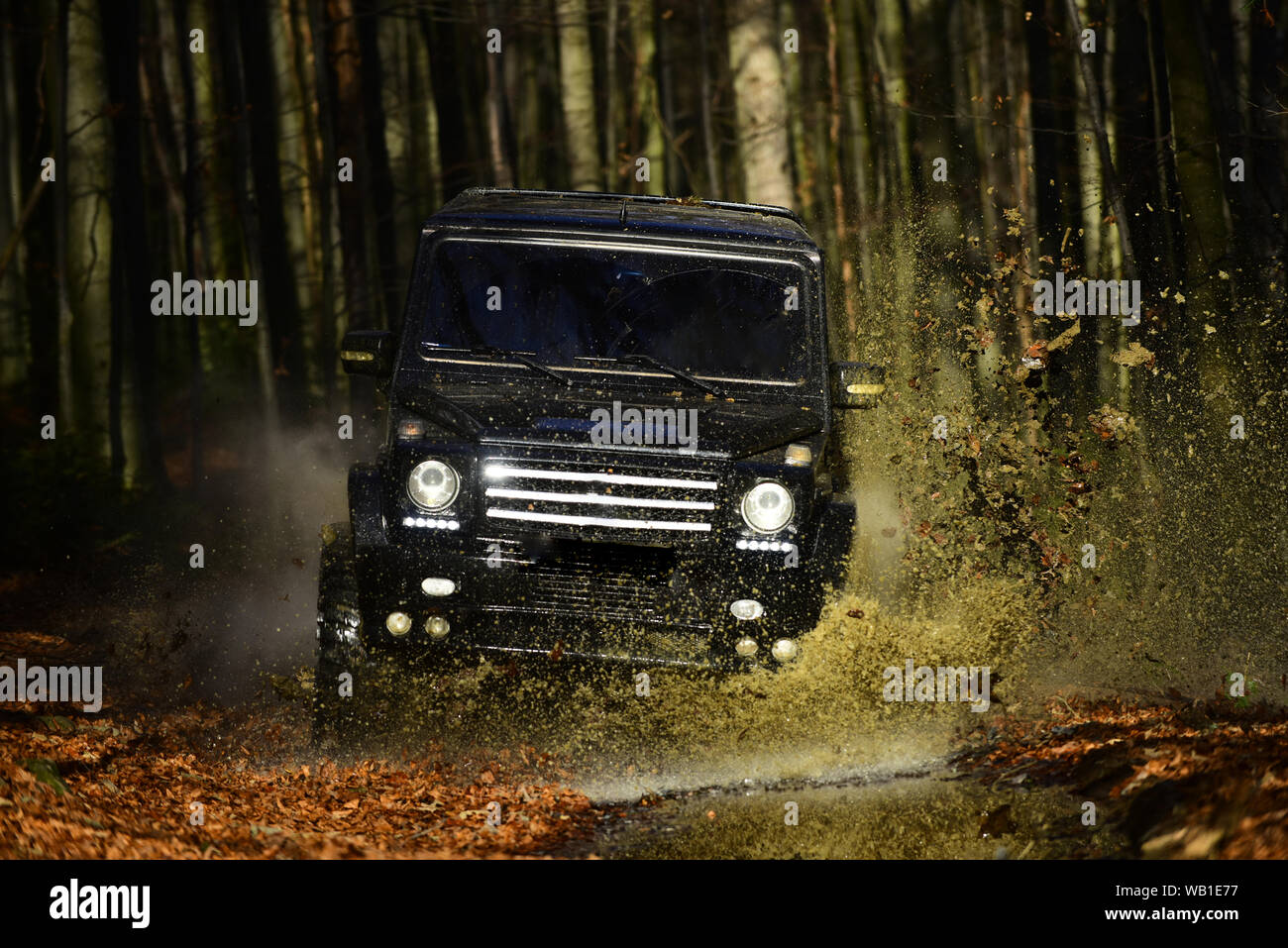 SUV or offroad car on path covered with leaves crossing puddle with ...