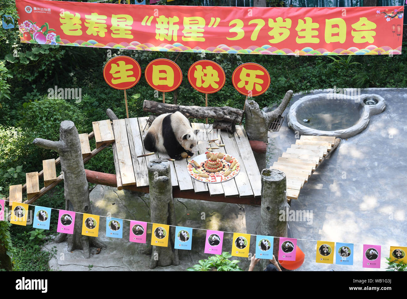 Chongqing, China's Chongqing. 23rd Aug, 2019. Xinxing, world's oldest ...