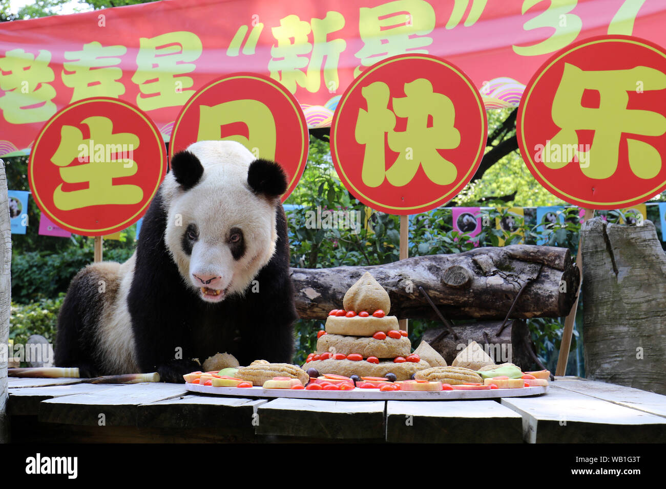 Chongqing, China's Chongqing. 23rd Aug, 2019. Xinxing, world's oldest ...