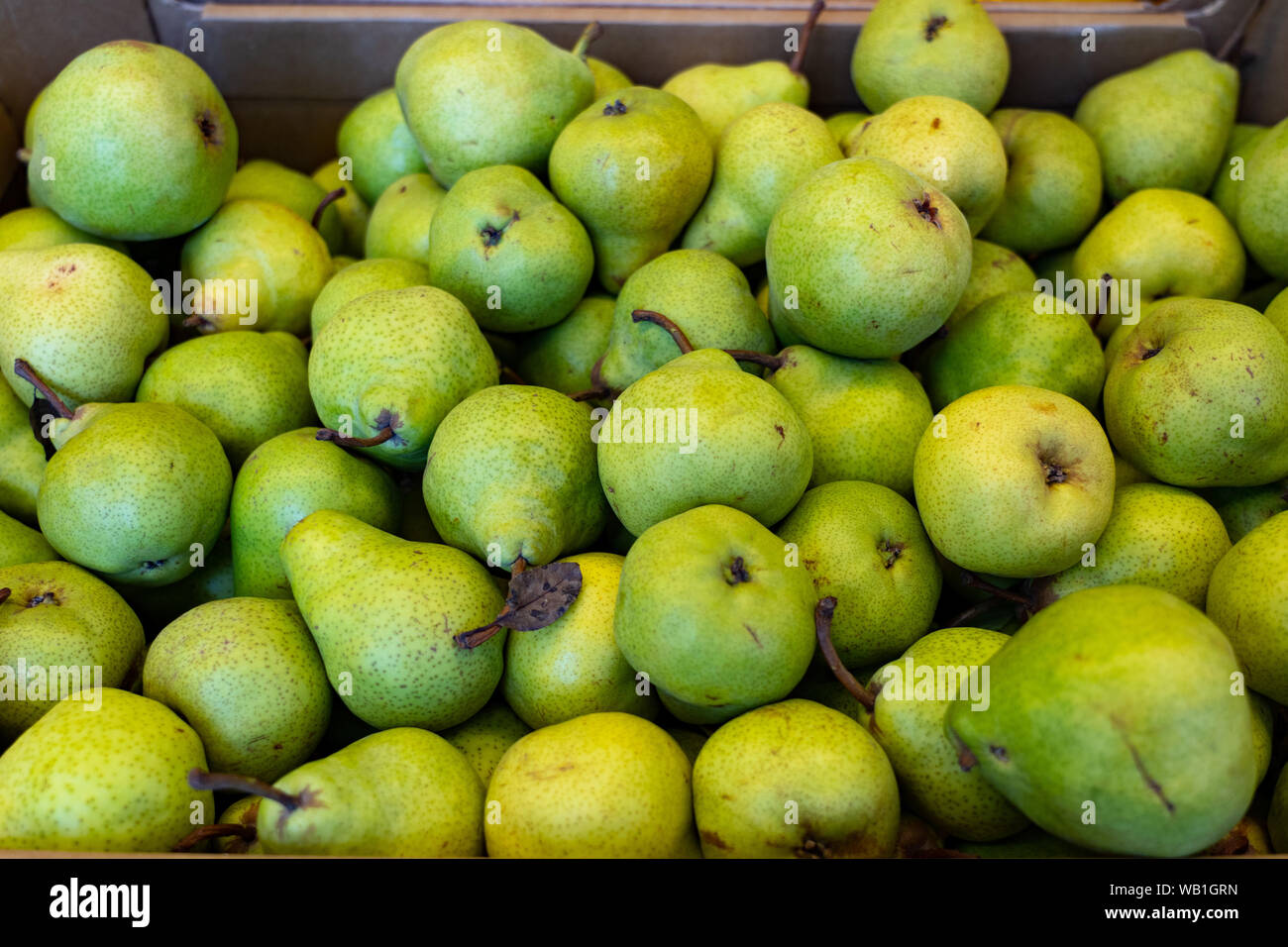 Fresh fruit, ripe pears on the counter in the supermarket Stock Photo ...