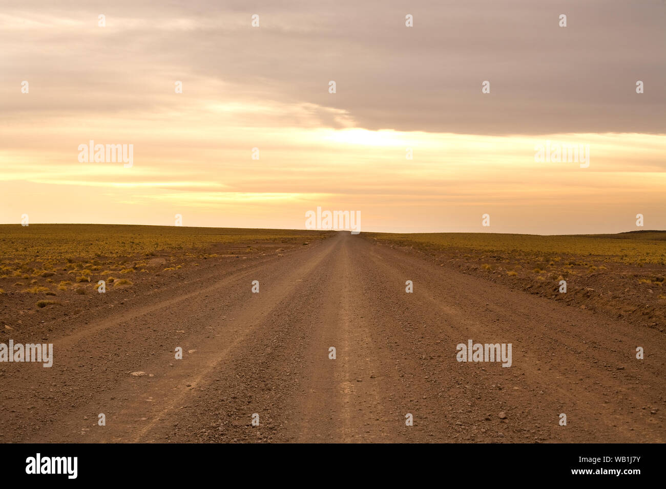 Road in the Altiplano (high Andean plateau) at an altitude of 4000m ...