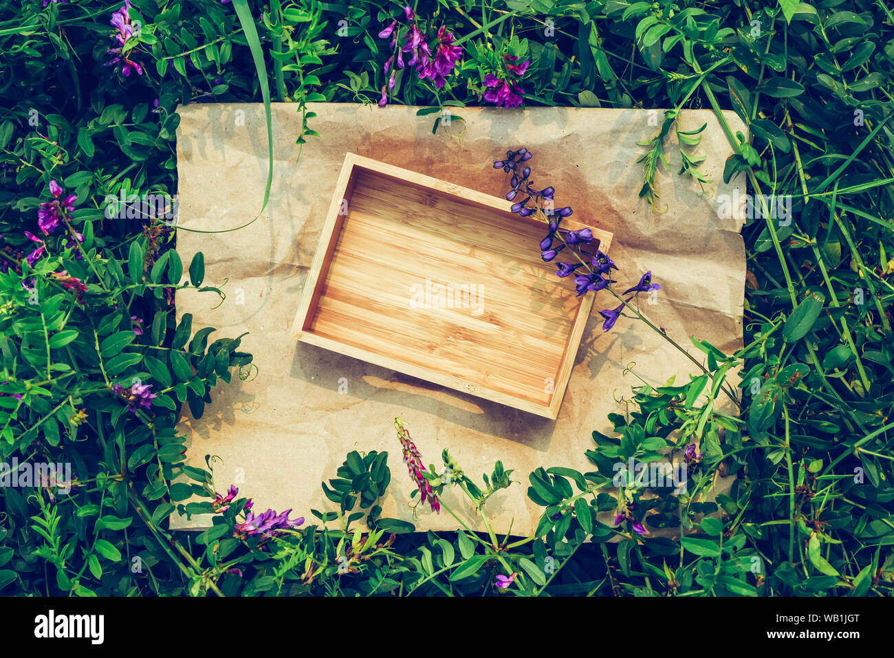 Creative green floral background of natural leaves and meadow grass ...