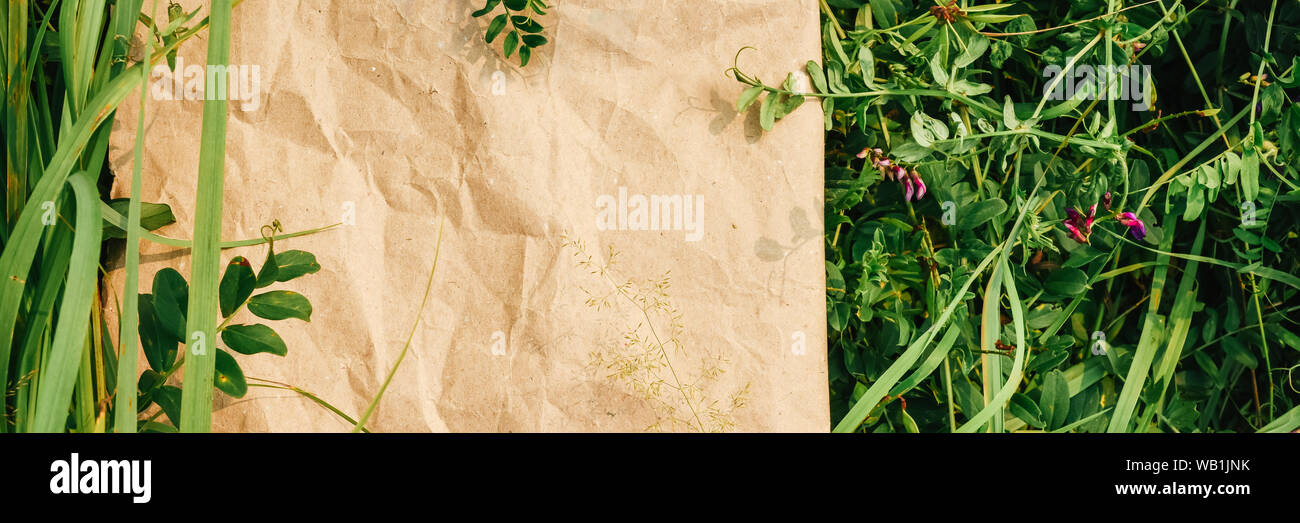 Creative background from craft paper in green natural grass. The ...