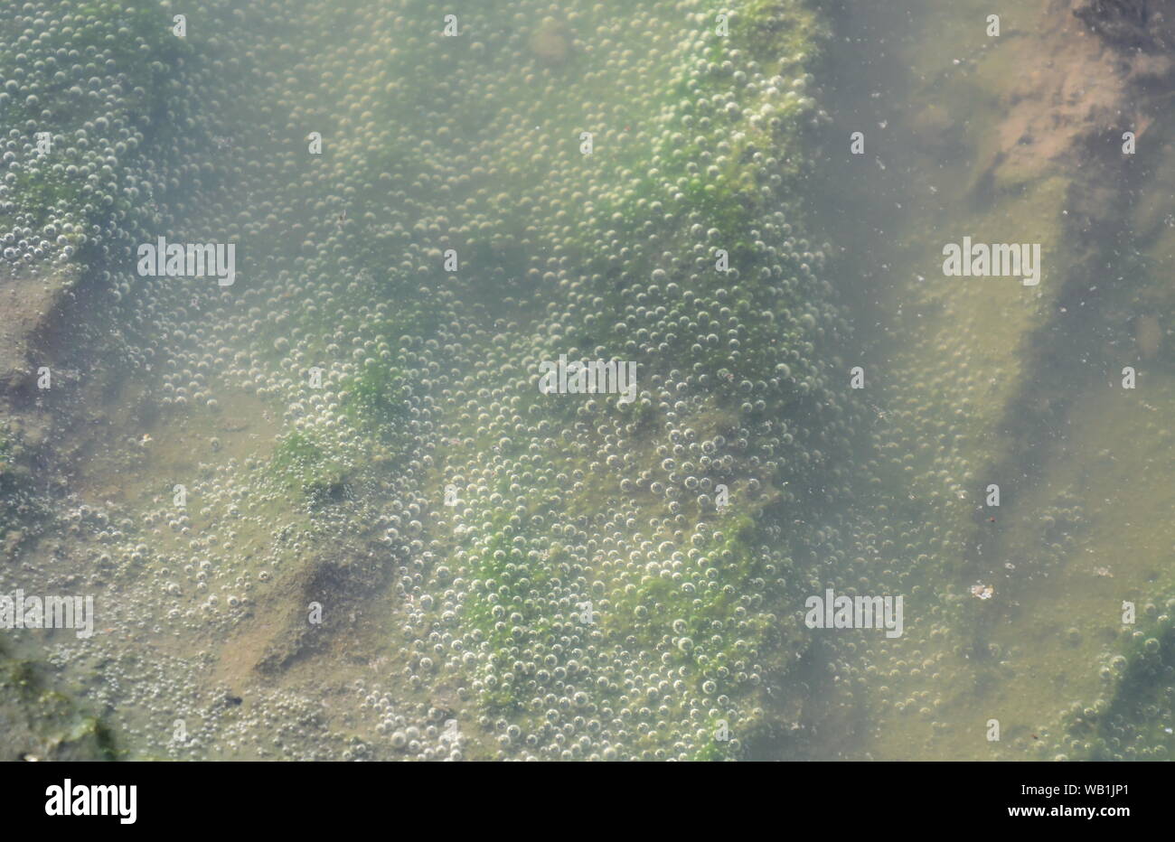 bubble in water flood on road Stock Photo - Alamy