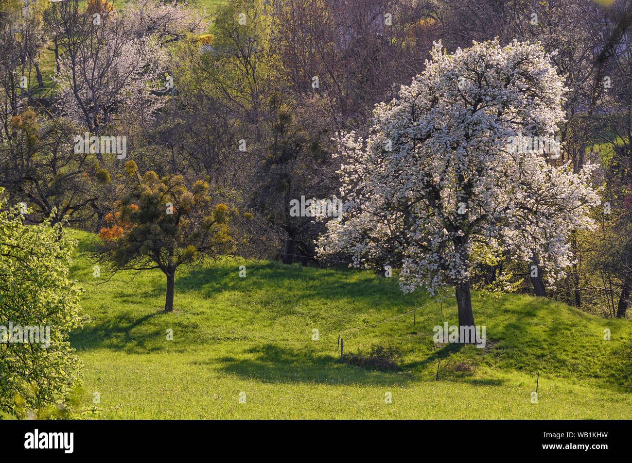 Europe european germany german hi-res stock photography and images - Alamy