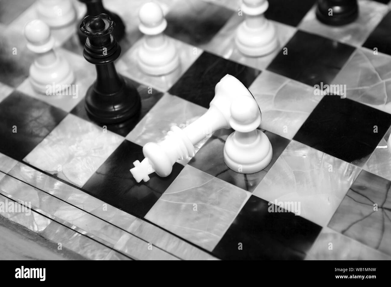 Chess competition hi-res stock photography and images - Alamy