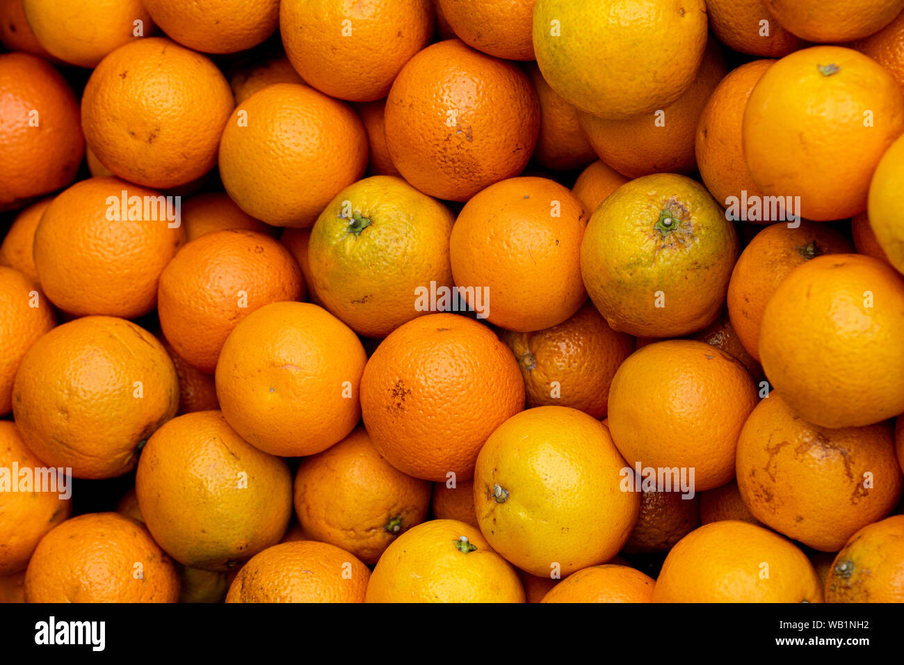 Fresh Orange fruit background Stock Photo - Alamy