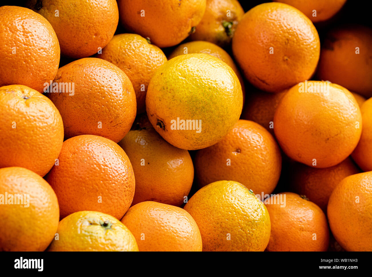 Fresh Orange fruit background Stock Photo - Alamy