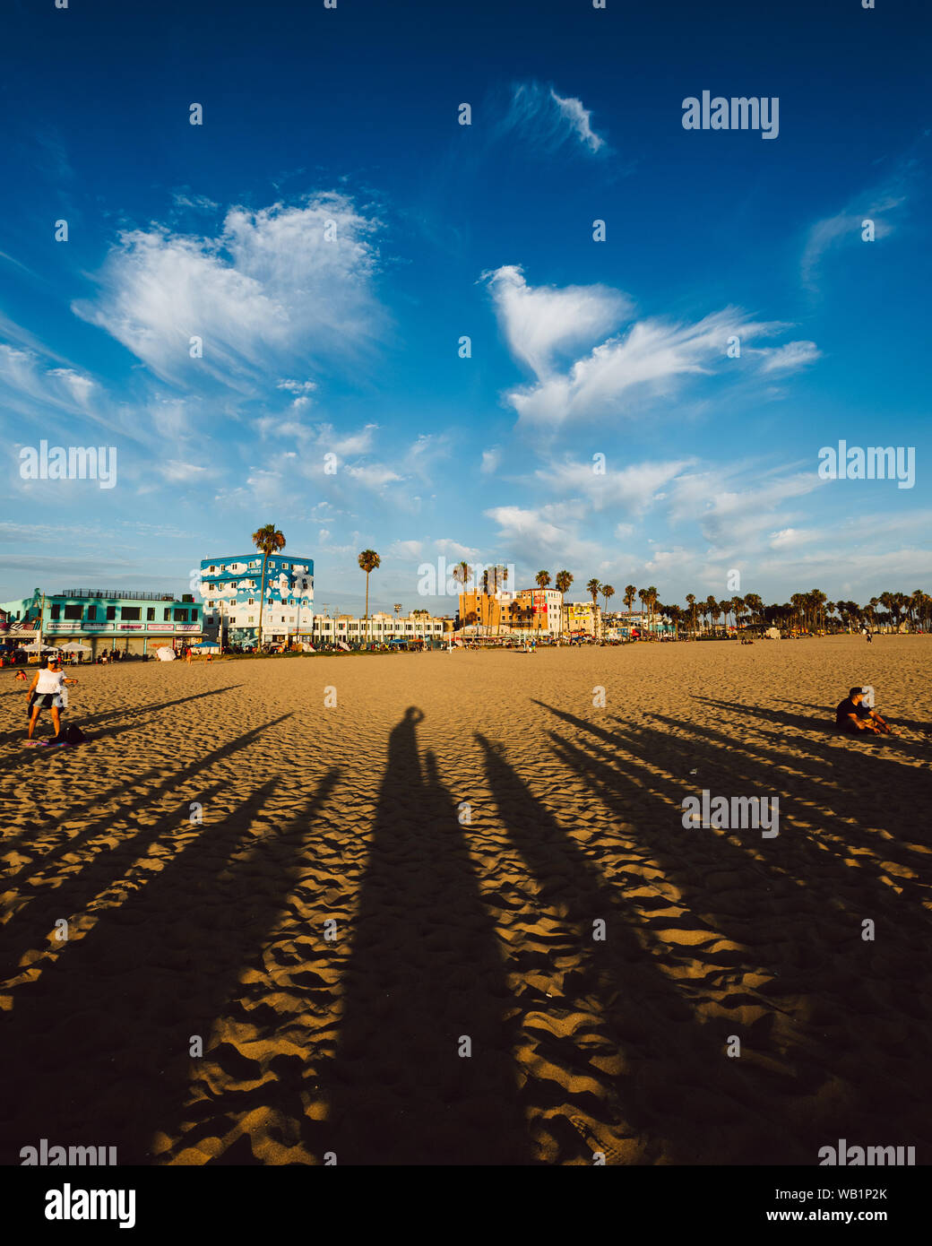LOS ANGELES, USA - AUGUST 03 2019: Long shadows over Venice Beach Los ...