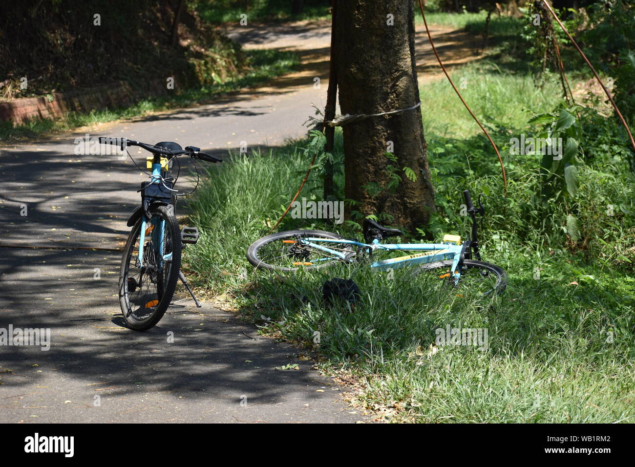 When Nature Meets Human Nature Stock Photo - Alamy